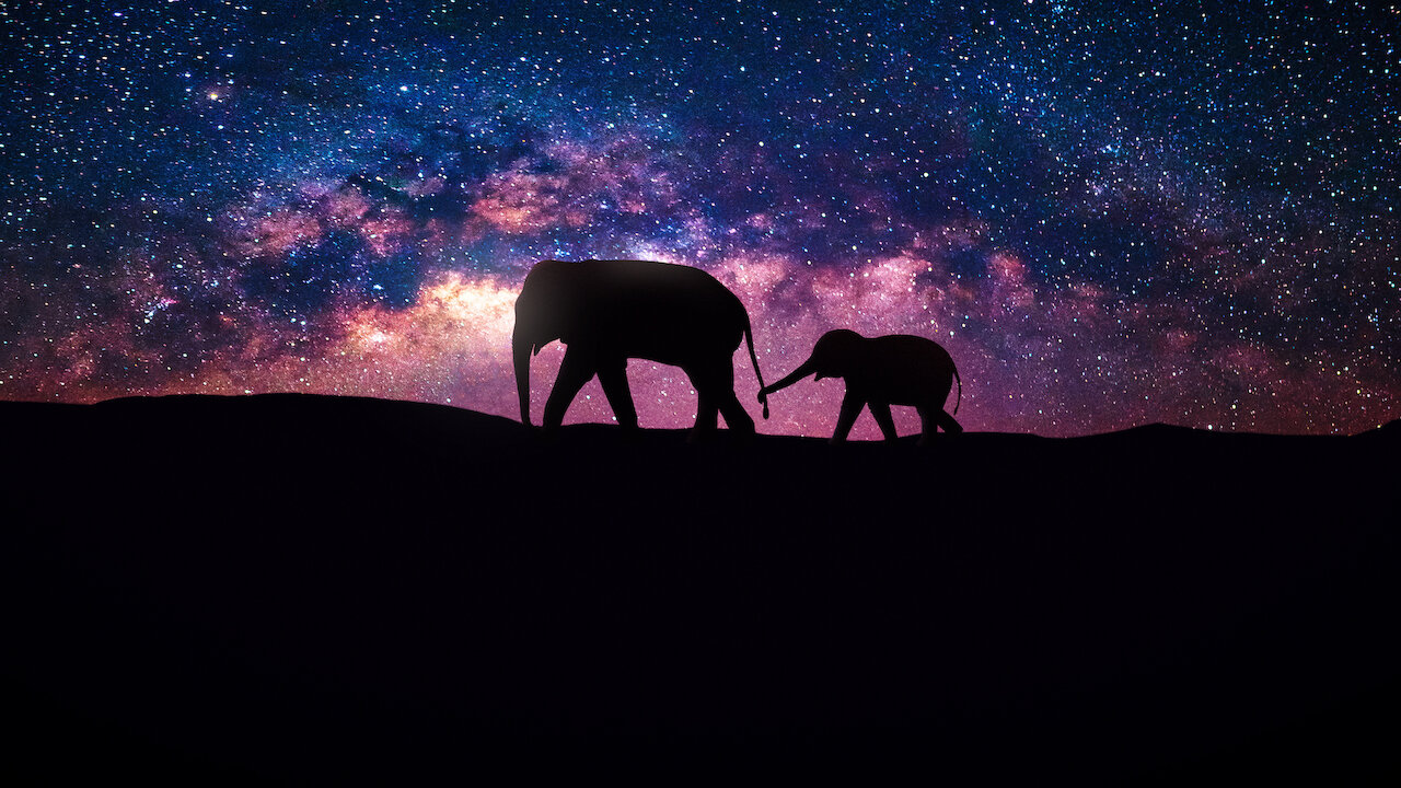 Notre univers | Site officiel de Netflix